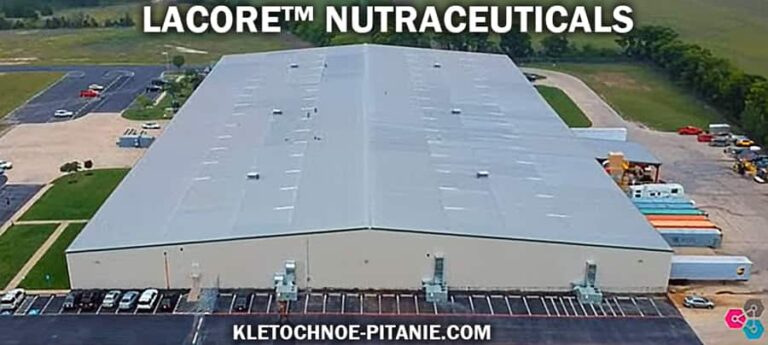 Компания Success Together и её продукты