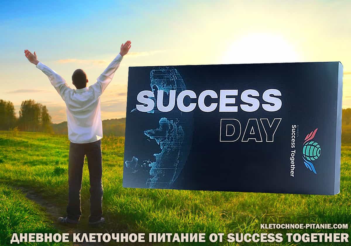 Продукты Success Day и Night компании Success Together